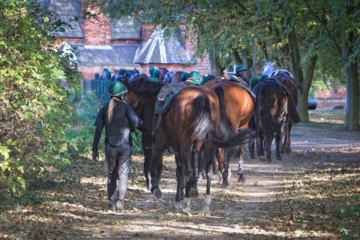National Horseracing College - Careers in Racing
