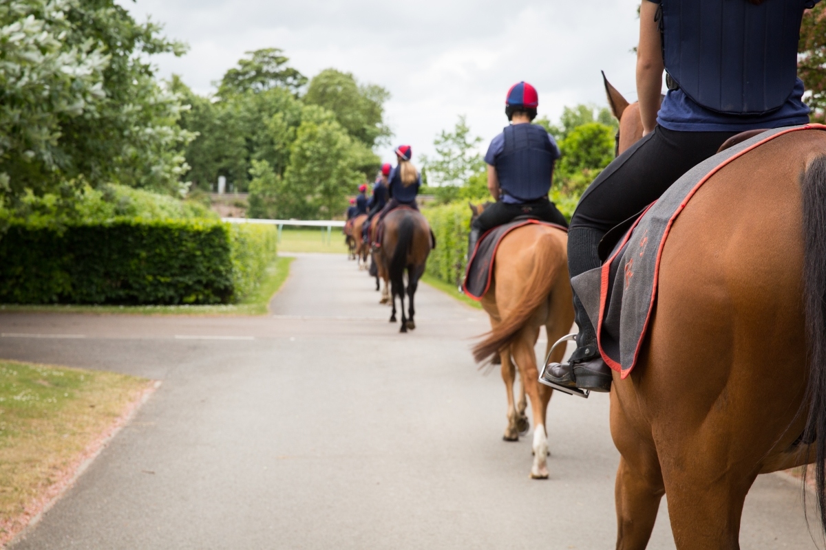 British Racing School - Careers in Racing