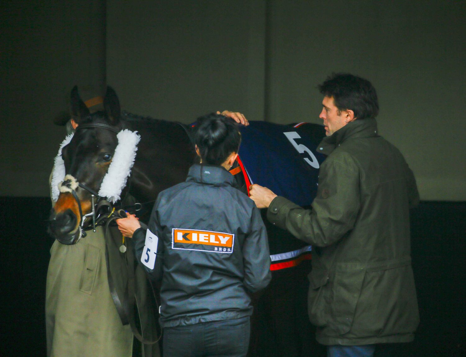 How to Prepare a Racehorse to Race (part 1) - Careers in Racing