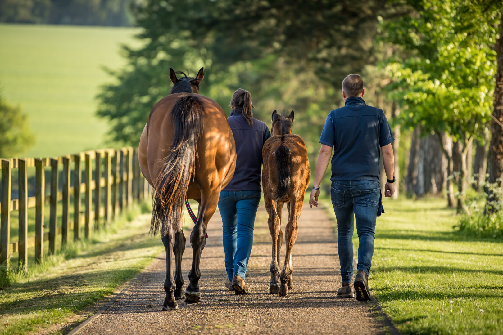 Home - Careers in Racing