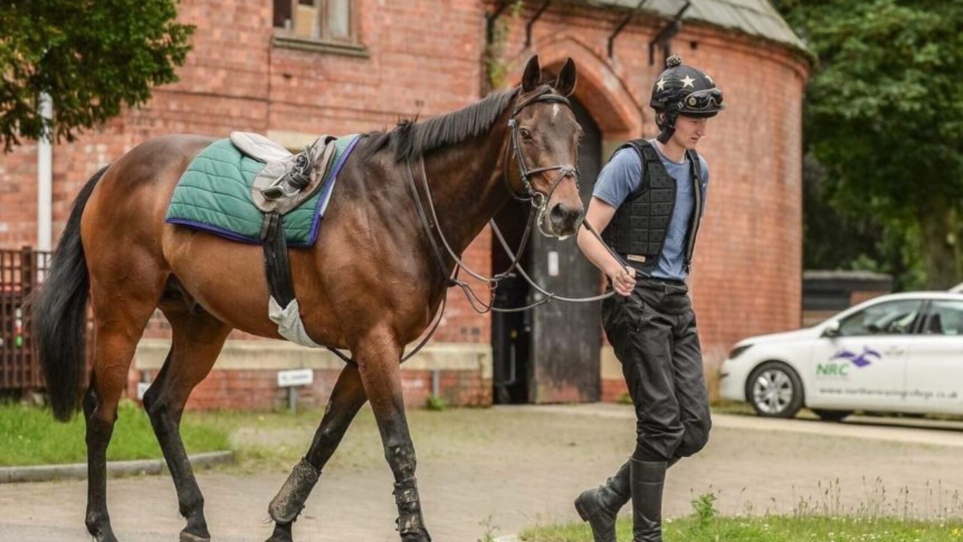 Level 3 Apprenticeship Senior Equine Groom - Careers in Racing