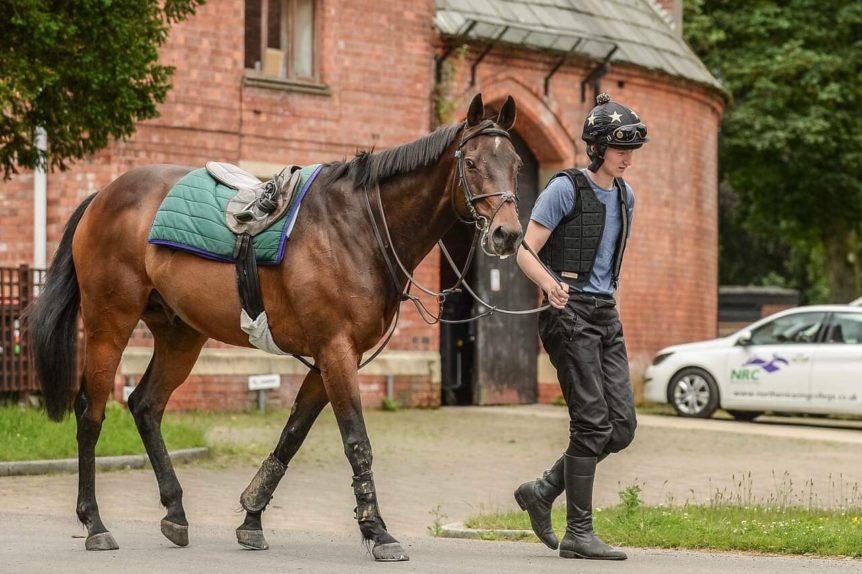 Case Study - Tom Ryall - Careers in Racing