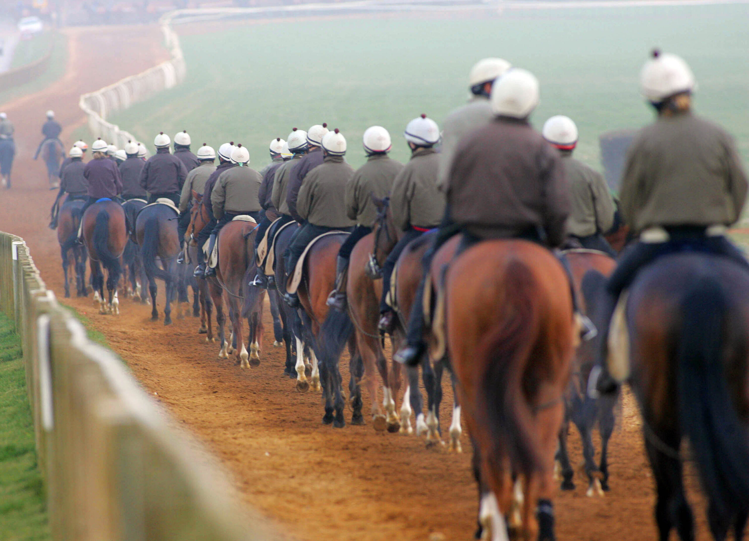 Safeguarding - Careers in Racing