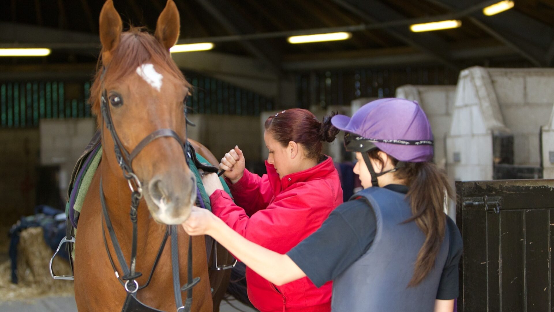 Home - Careers in Racing