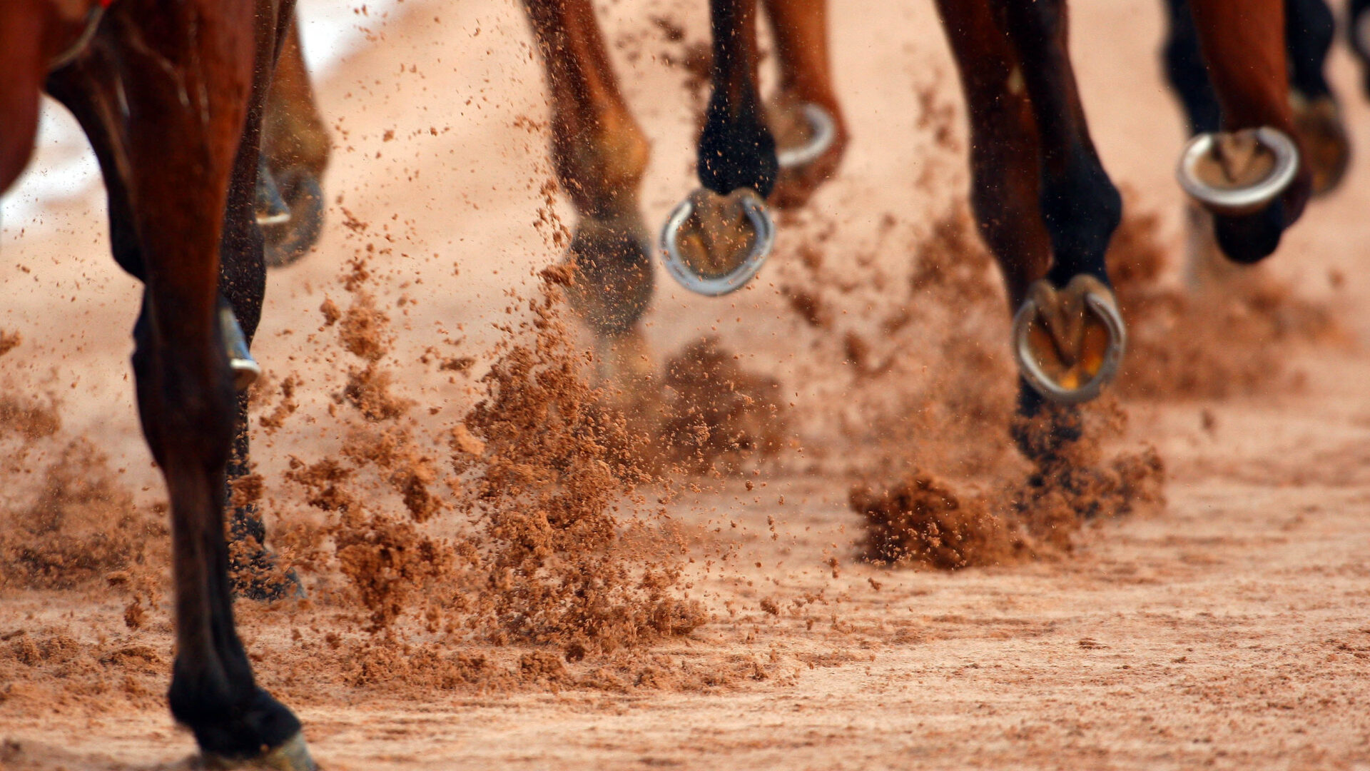 Racing Coach - Careers in Racing