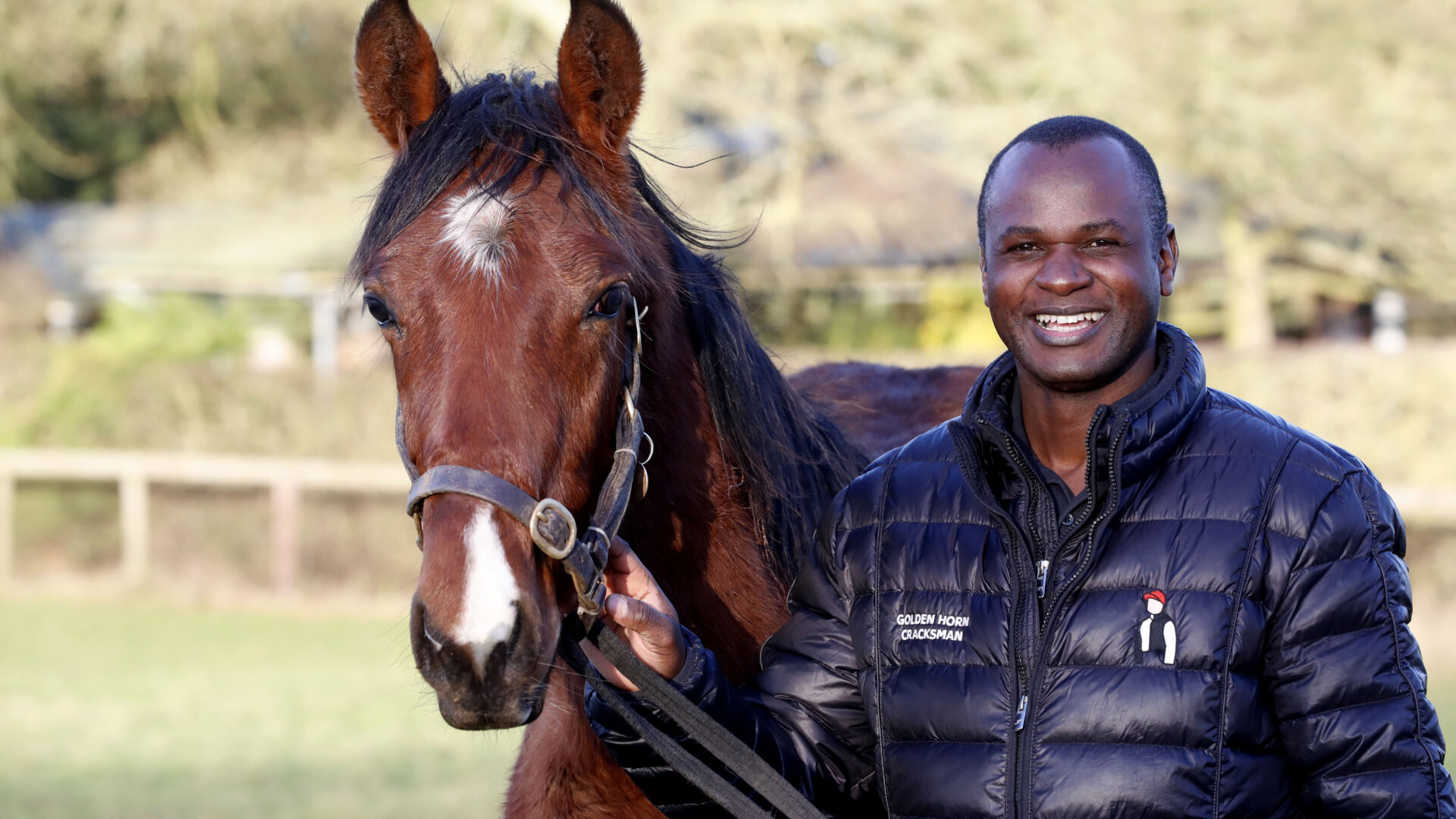 Horse Care - Careers in Racing