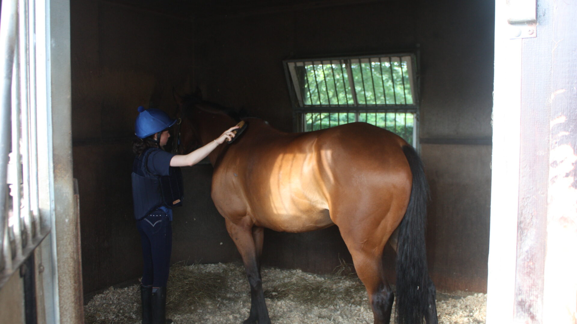 Career Sectors - Careers in Racing