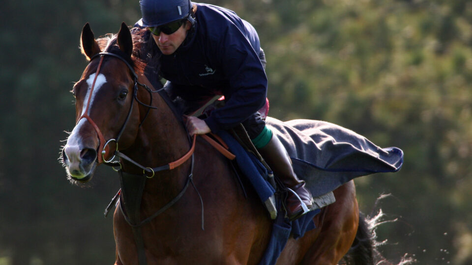 Career Development for Racing's Workforce - Careers in Racing