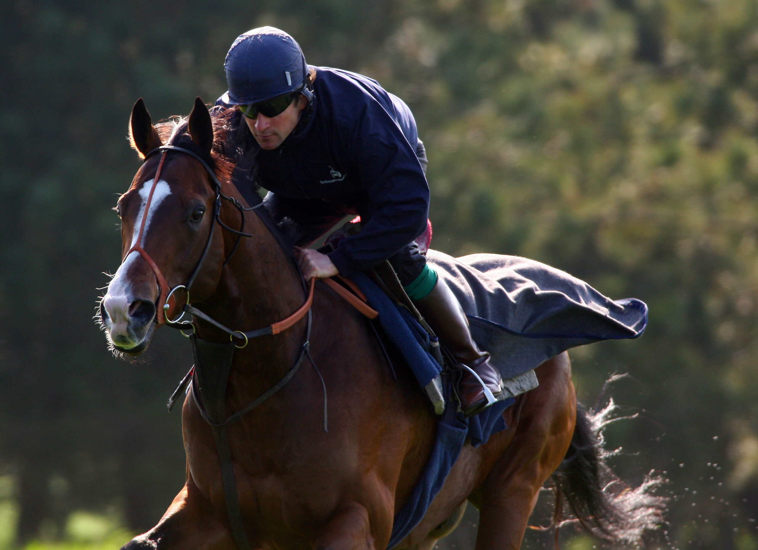 Work Rider - Careers in Racing