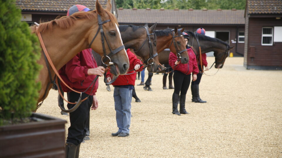 Equine Student Progression Programme - Careers in Racing