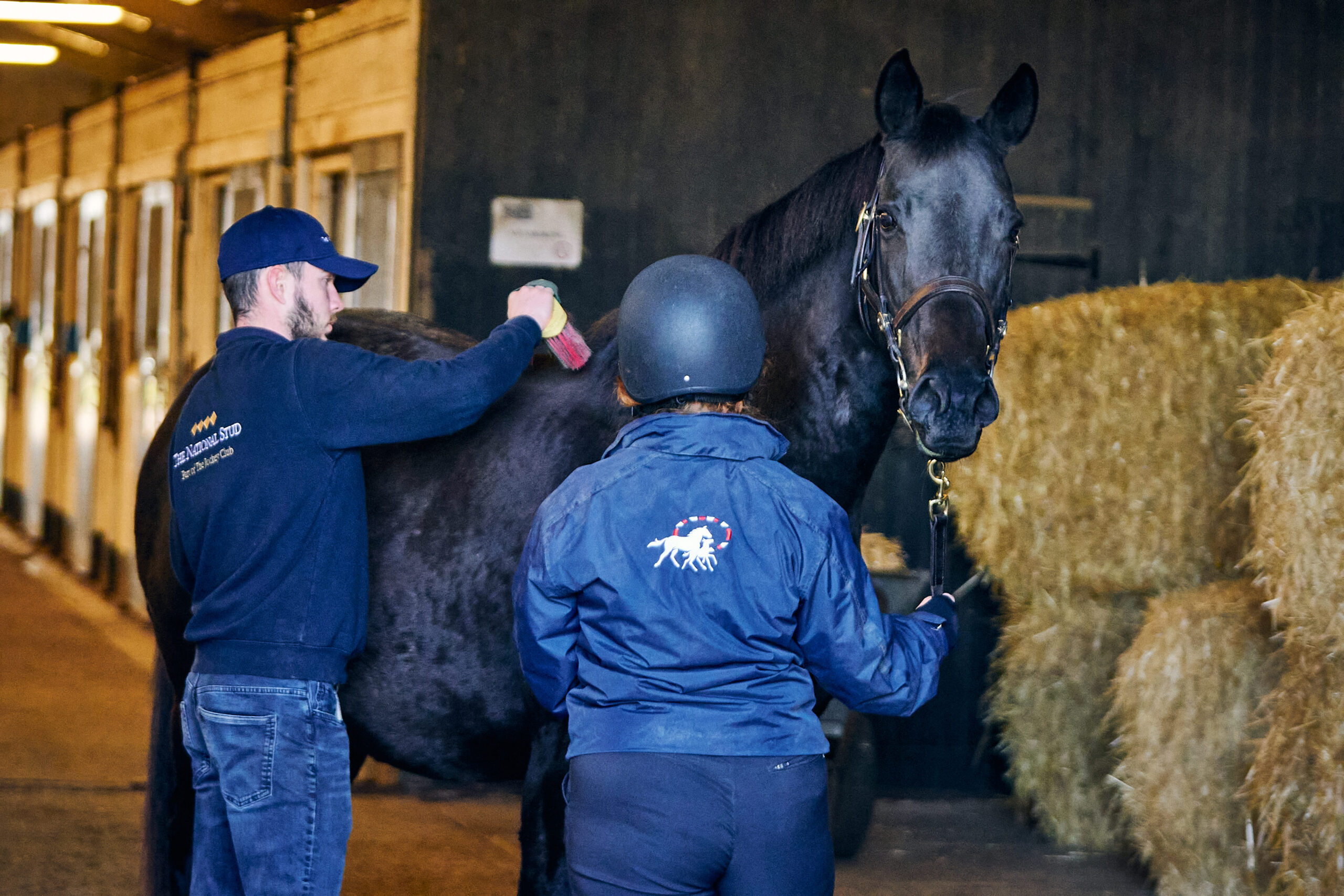 Thoroughbred Industry Access Course - Careers in Racing