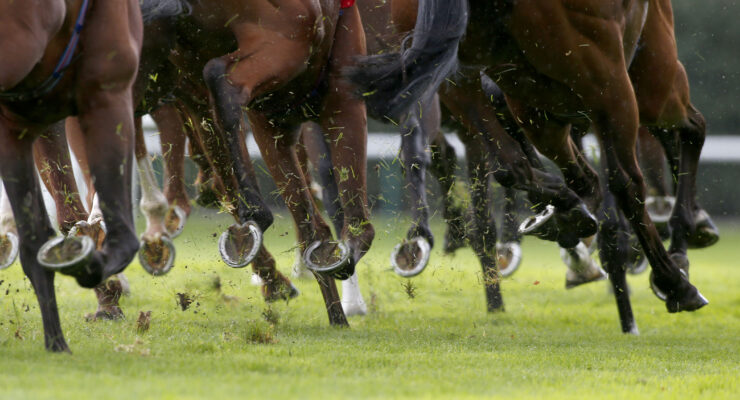 National Horseracing College - Careers in Racing