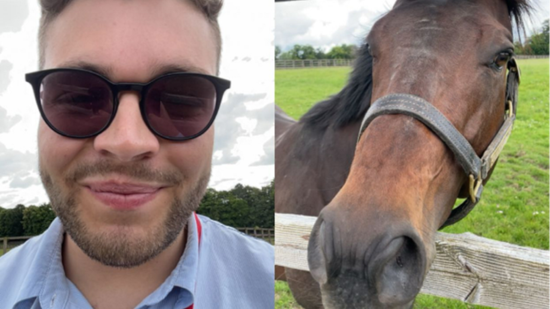 About the Horseracing Industry - Careers in Racing