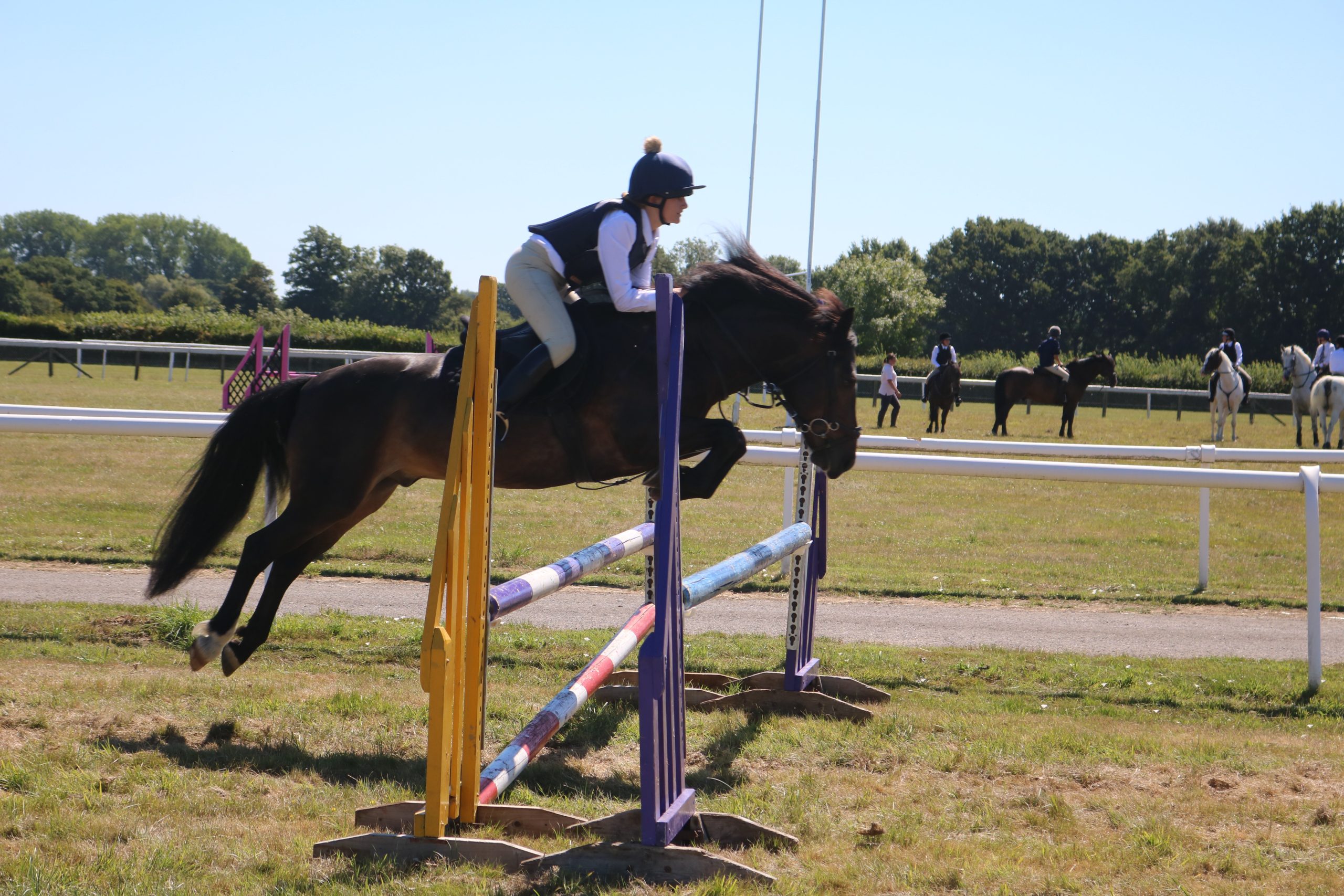 Youth Collaboration Group members Abby and Lana chat all things Pony ...